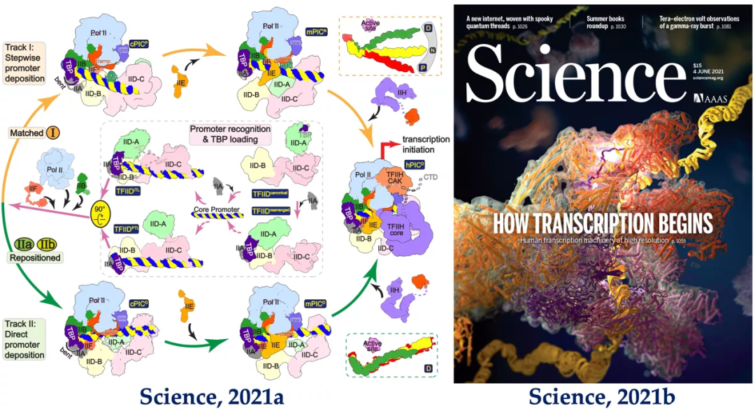 Study led by Yanhui Xu wins China’s top honor in life sciences