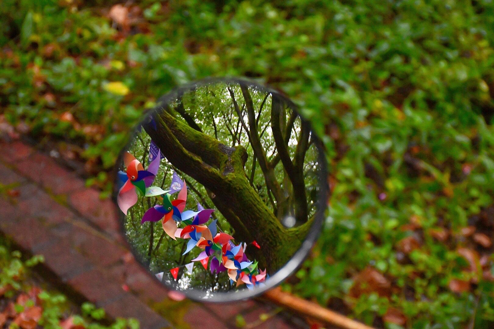 Solar Term | Cold Dew