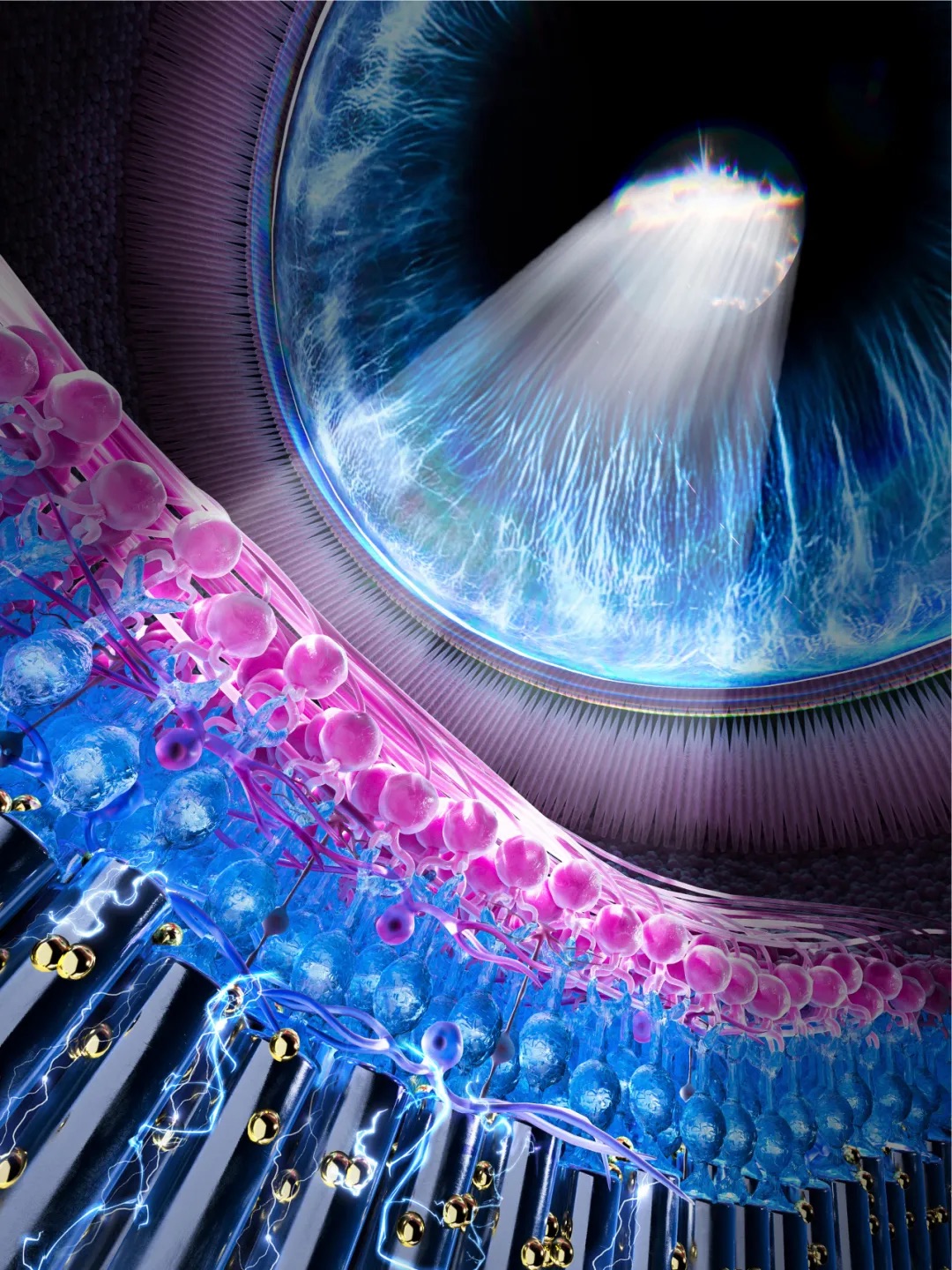 Equipping eyes with solar power to help the blind regain sight